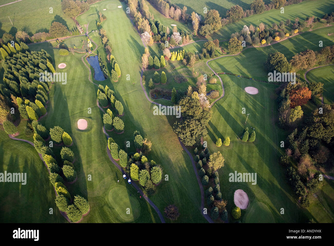 high view landscape trees fields scenary overview green colours colors ...
