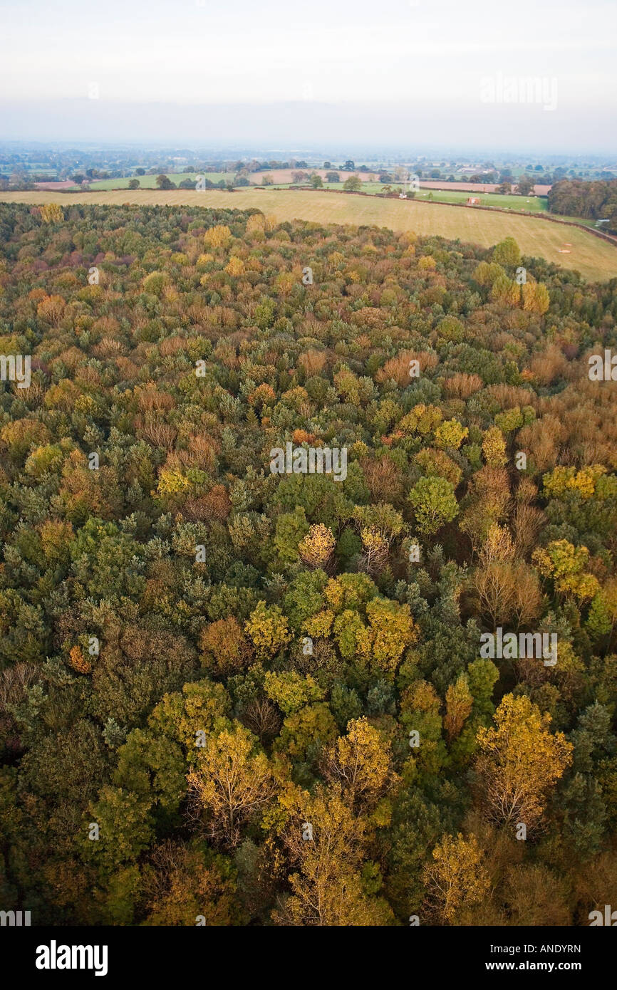 landscape trees fields scenary overview green colours colors overhead ...