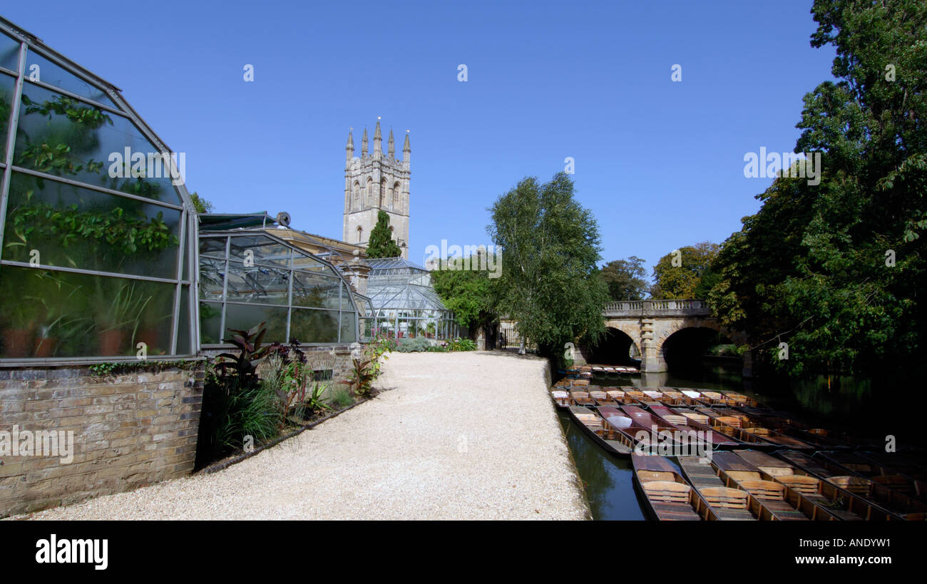 View of Magdalen Bridge Tower and punts from Oxford University Botanic ...