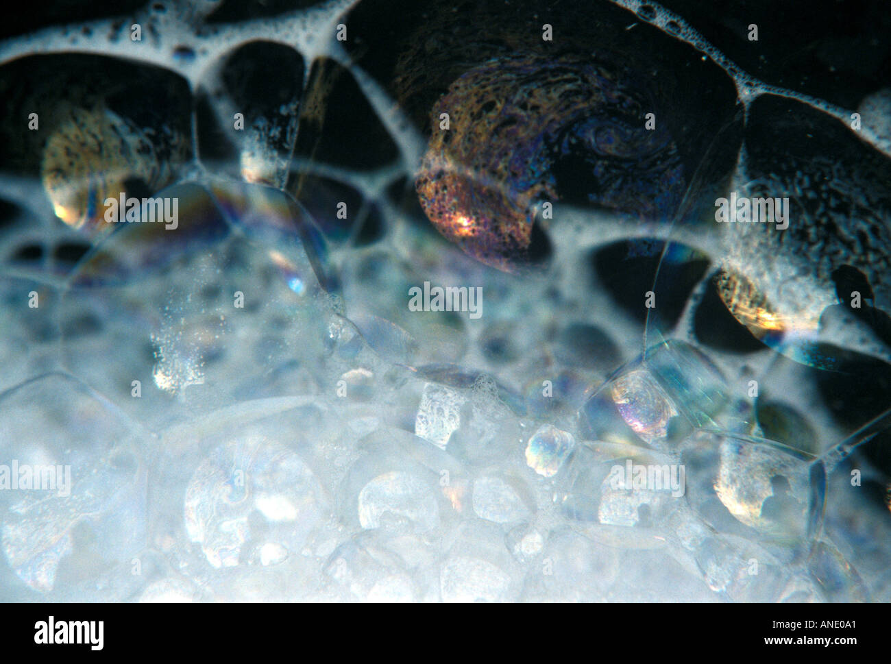 Bubbles in a Black Bucket Stock Photo - Alamy