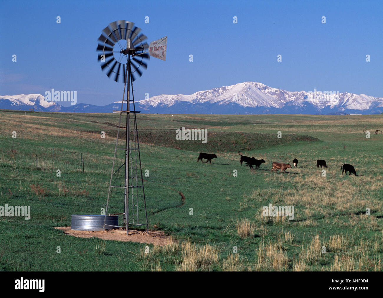 James palmer hi-res stock photography and images - Alamy