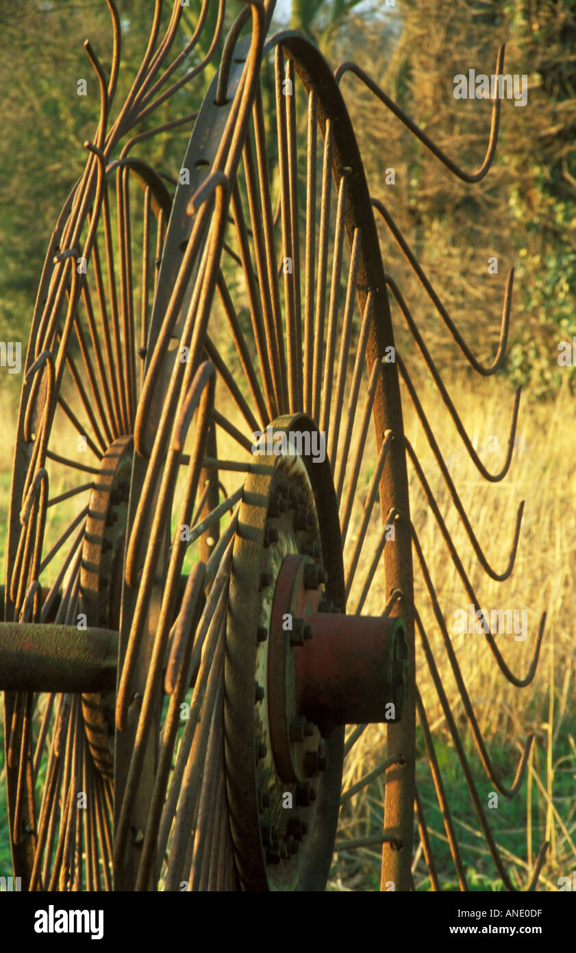 Hay turner hi-res stock photography and images - Alamy