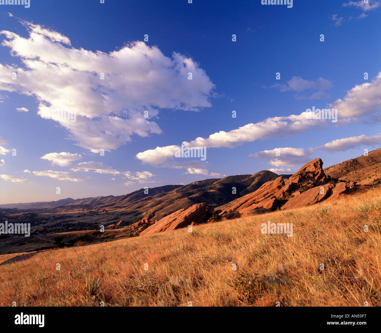 Morning time park parks hi-res stock photography and images - Alamy