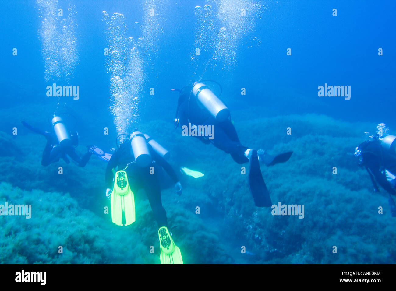 Divers oxygen diving air Stock Photo - Alamy