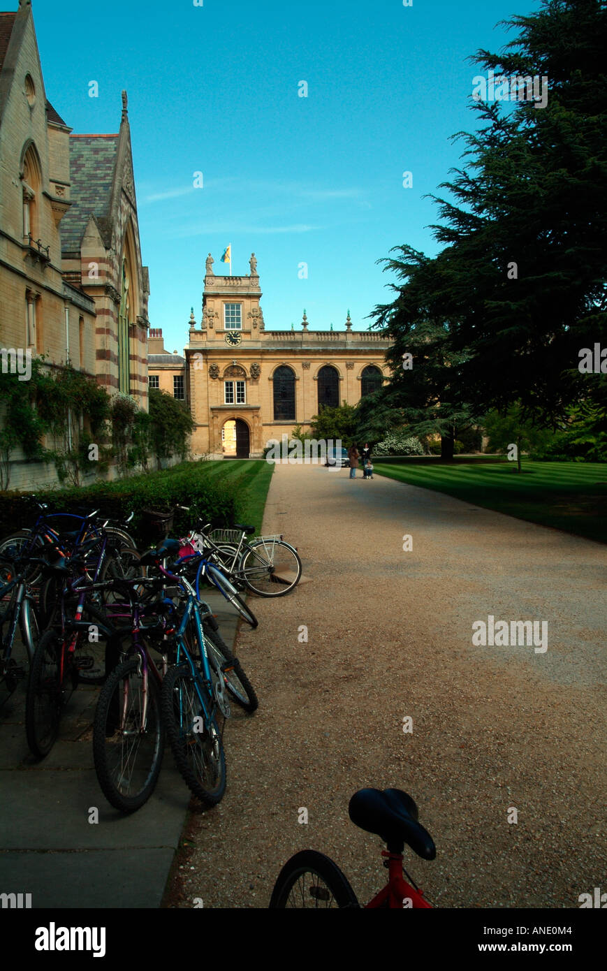trinity-college-oxford-grounds-and-tower-stock-photo-alamy