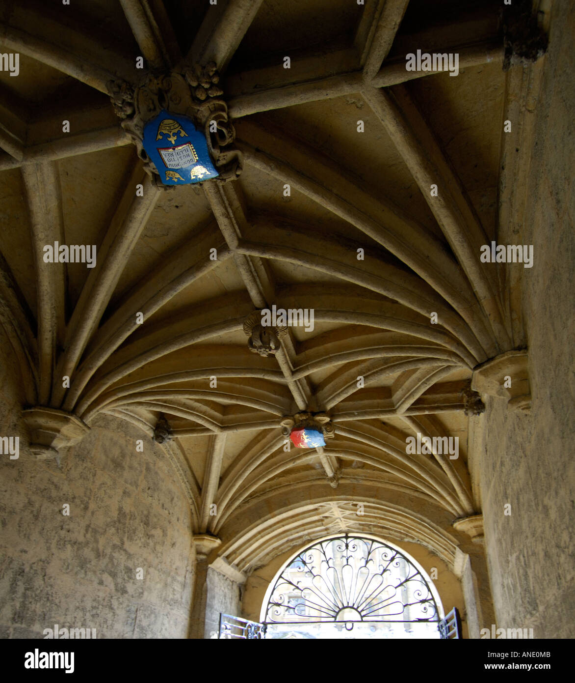 Oxford University College Crests on the ceiling of the Bodleian Library ...