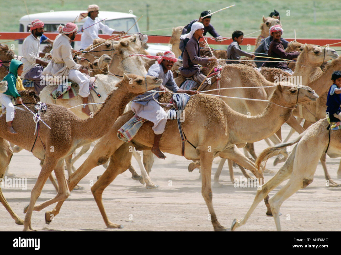 Camel racing abu dhabi hi-res stock photography and images - Alamy