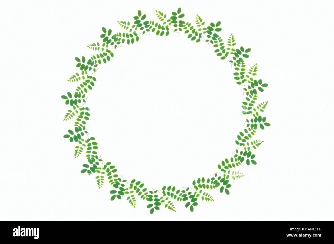 Leaves circular pattern hi-res stock photography and images - Alamy