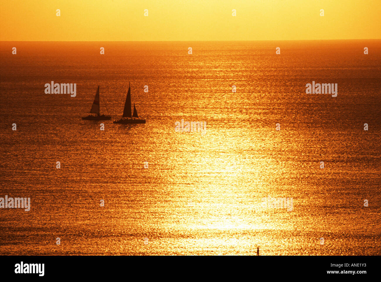 Quite flowers hi-res stock photography and images - Alamy