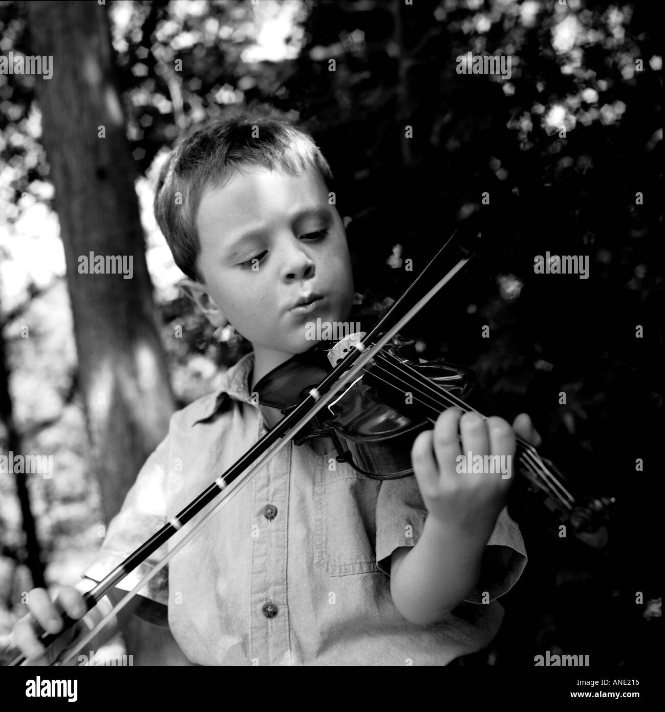 Playing violin Black and White Stock Photos & Images - Alamy