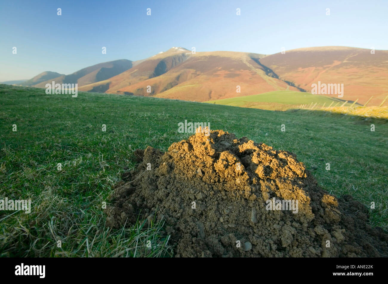 Make A Mountain Out Of A Molehill