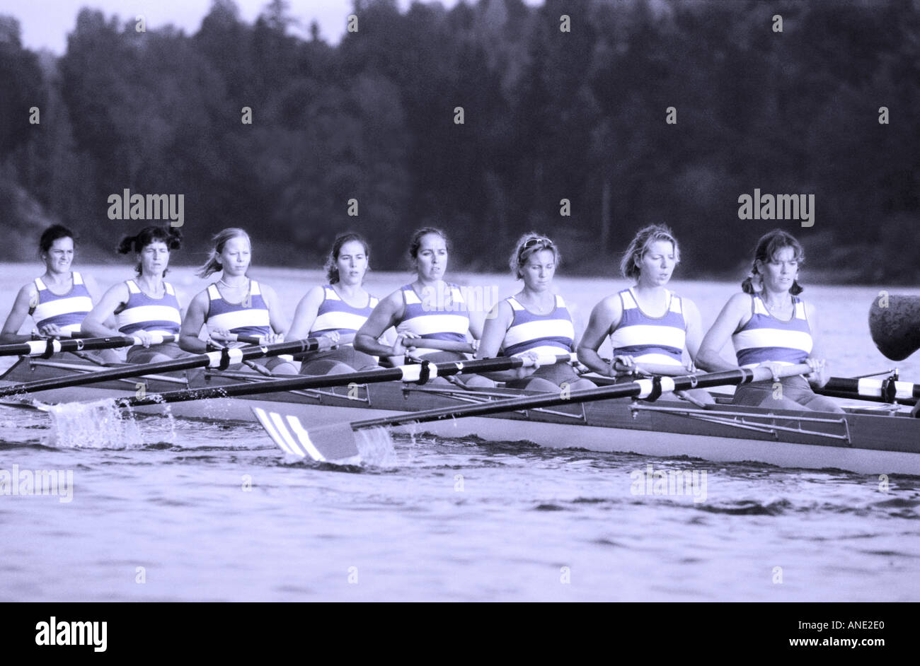 TEAMWORK COOPERATION STOCKHOLMS ROWING CLUB MODEL RELEASED Stock Photo ...