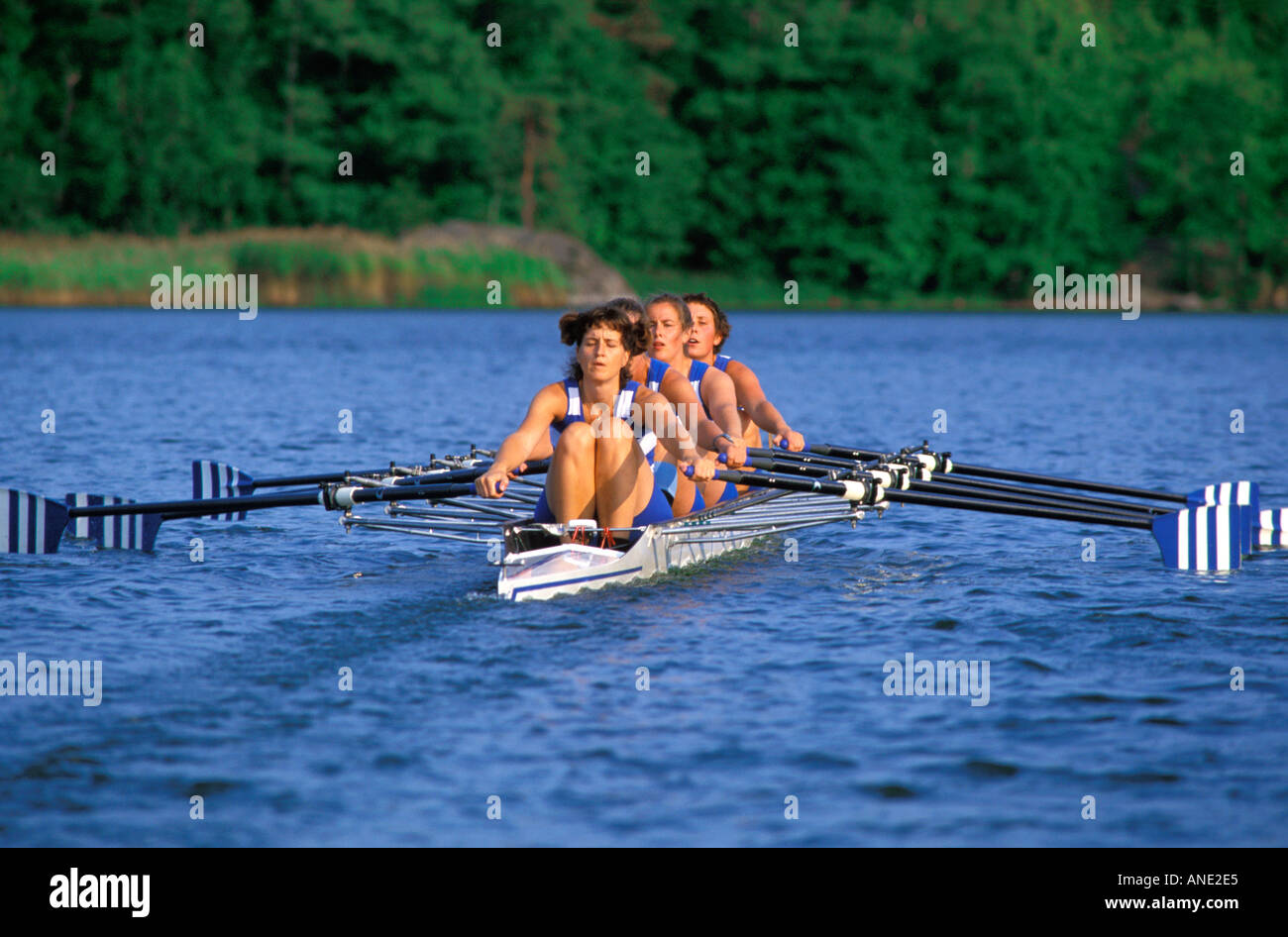 TEAMWORK COOPERATION STOCKHOLM ROWING CLUB Stock Photo - Alamy