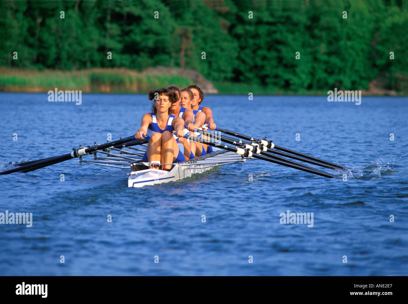 TEAMWORK COOPERATION STOCKHOLM ROWING CLUB Stock Photo - Alamy