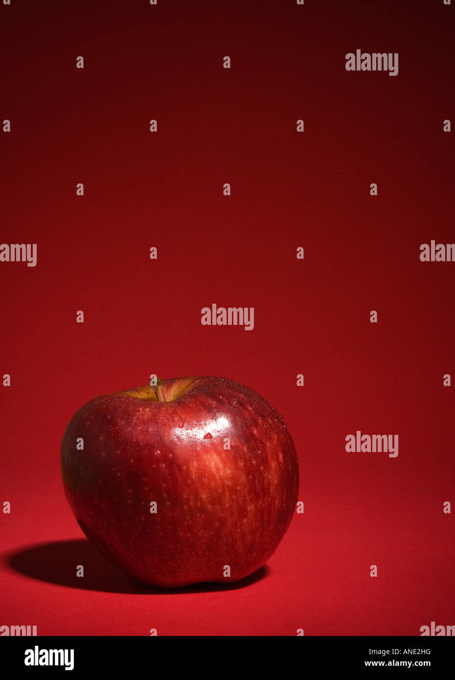 close up studio picture of a red apple on red background Stock Photo ...