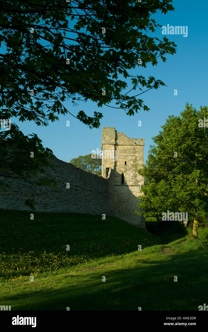 Pickering Castle North Yorkshire Stock Photo - Alamy