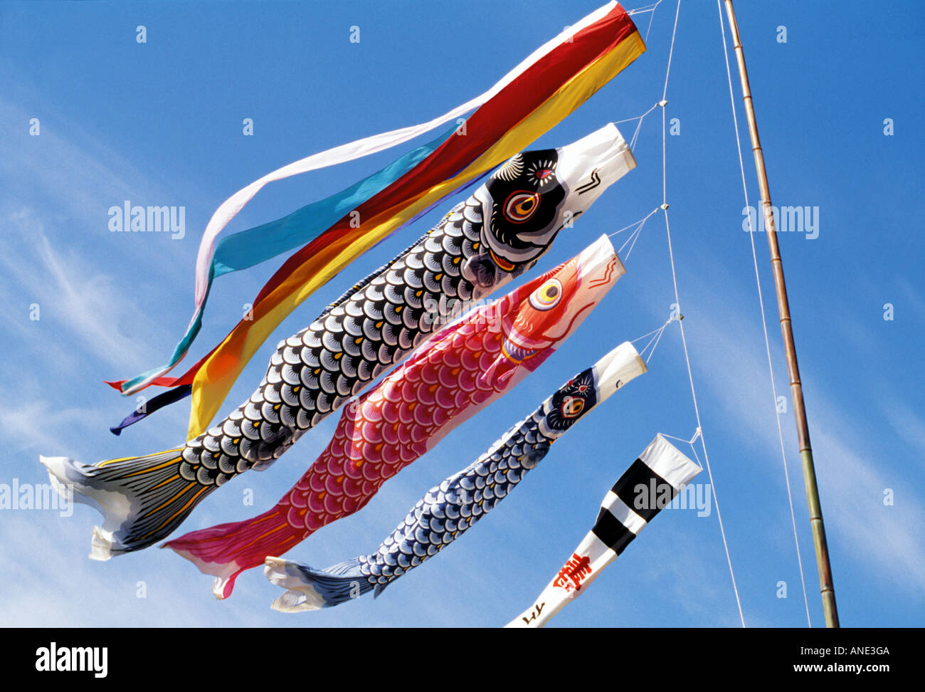 Carp turning hi-res stock photography and images - Alamy