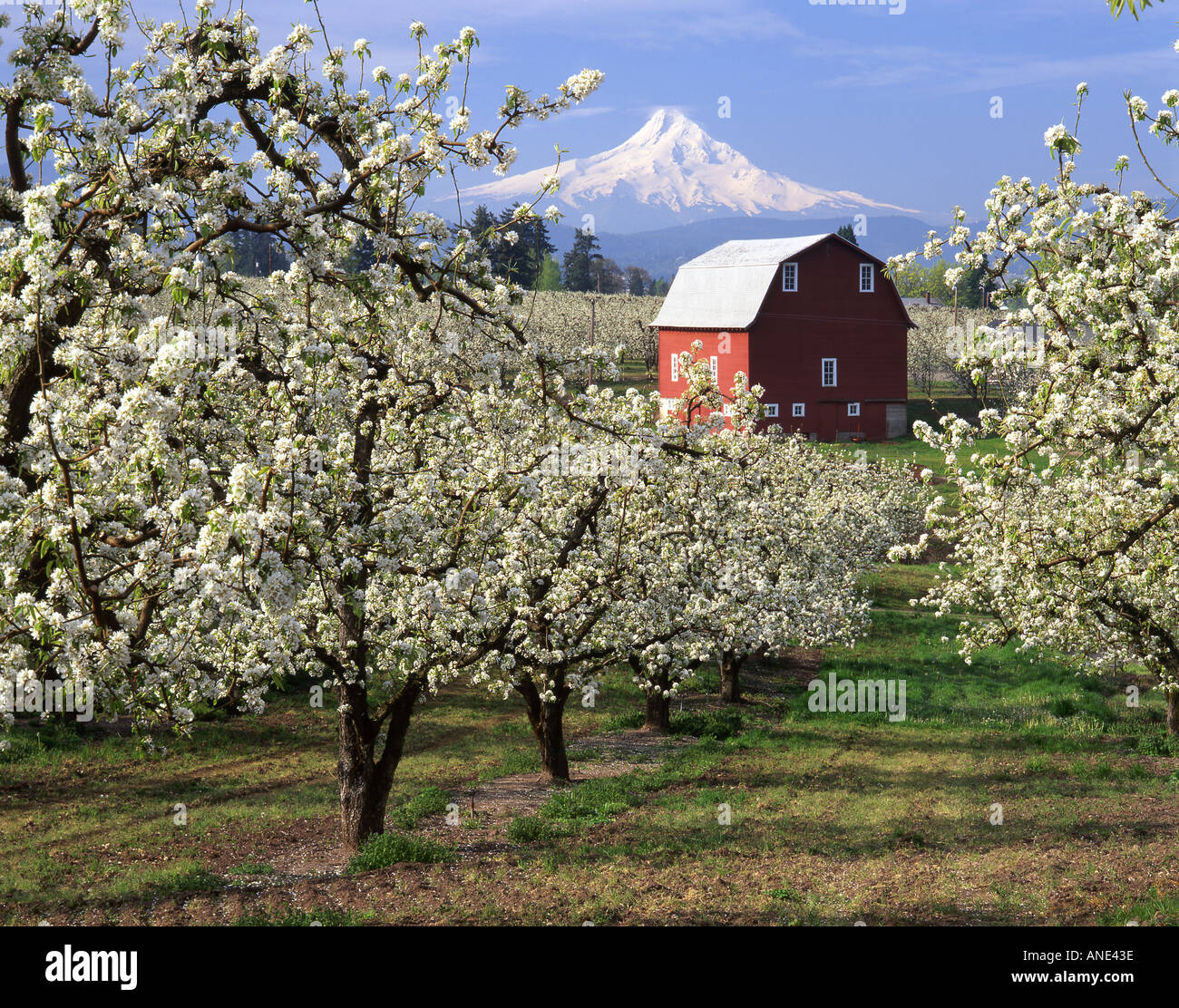 Hood river red barn hi-res stock photography and images - Alamy