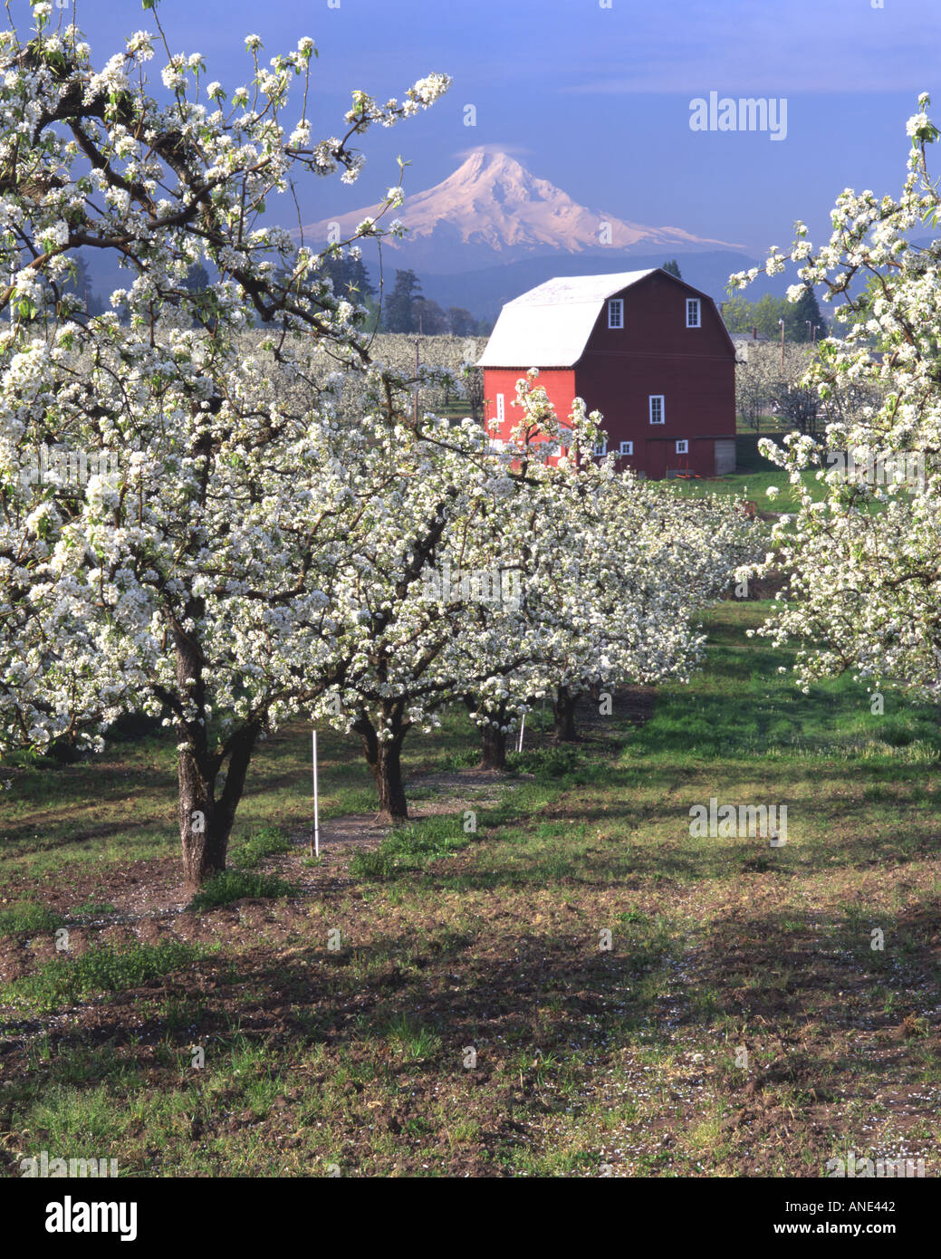 Hood river red barn hi-res stock photography and images - Alamy