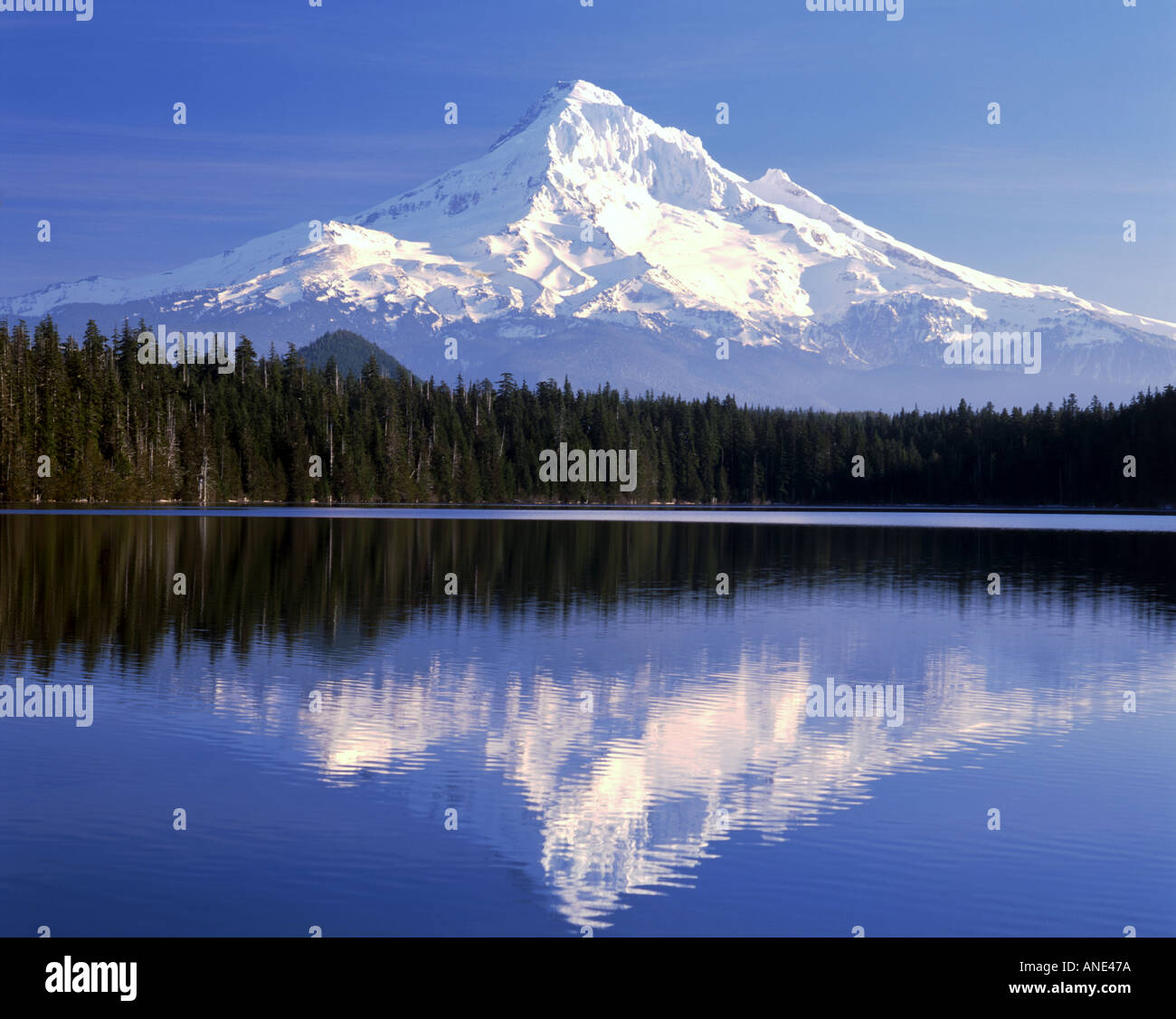 Mount Hood Reflection on Lost Lake Stock Photo - Alamy