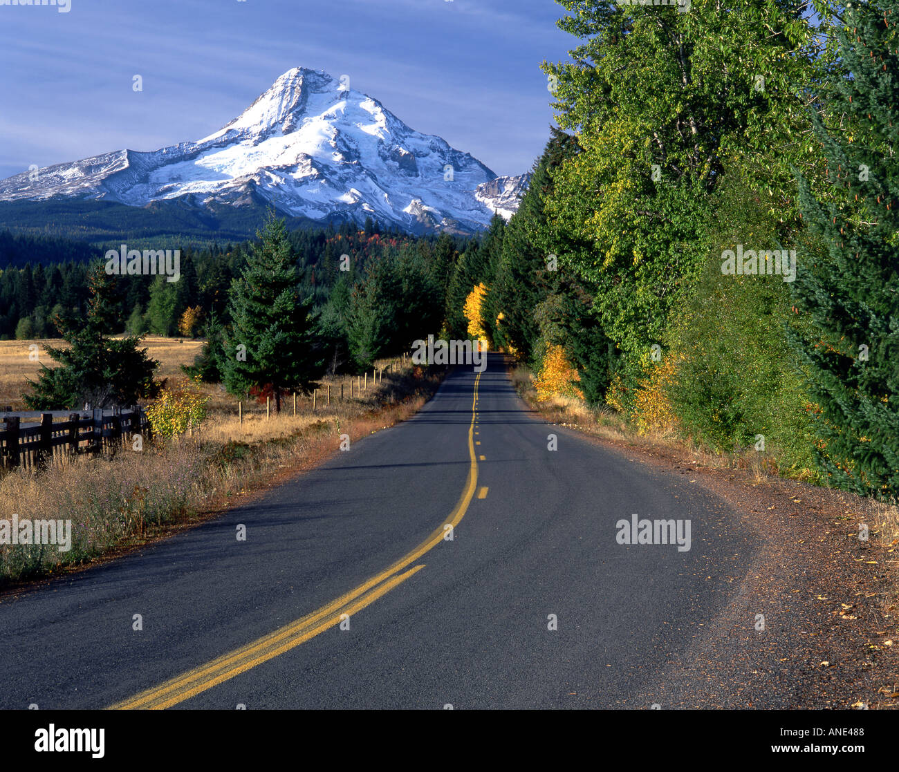 Mount Hood Above Road Stock Photo - Alamy