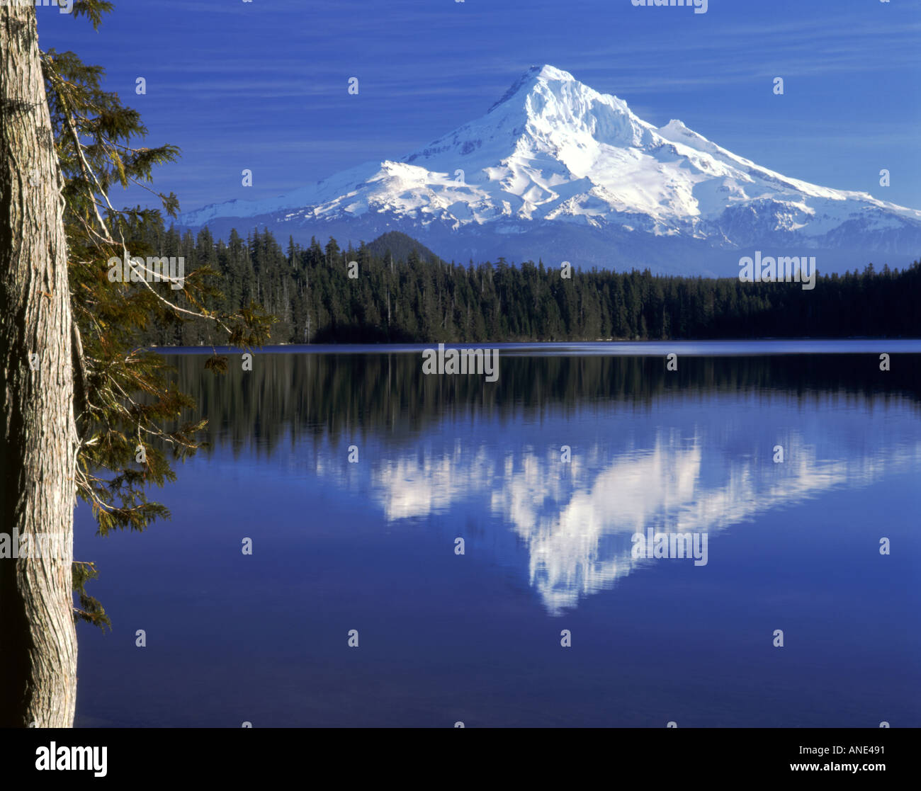 Mount Hood Reflection on Lost Lake Stock Photo - Alamy
