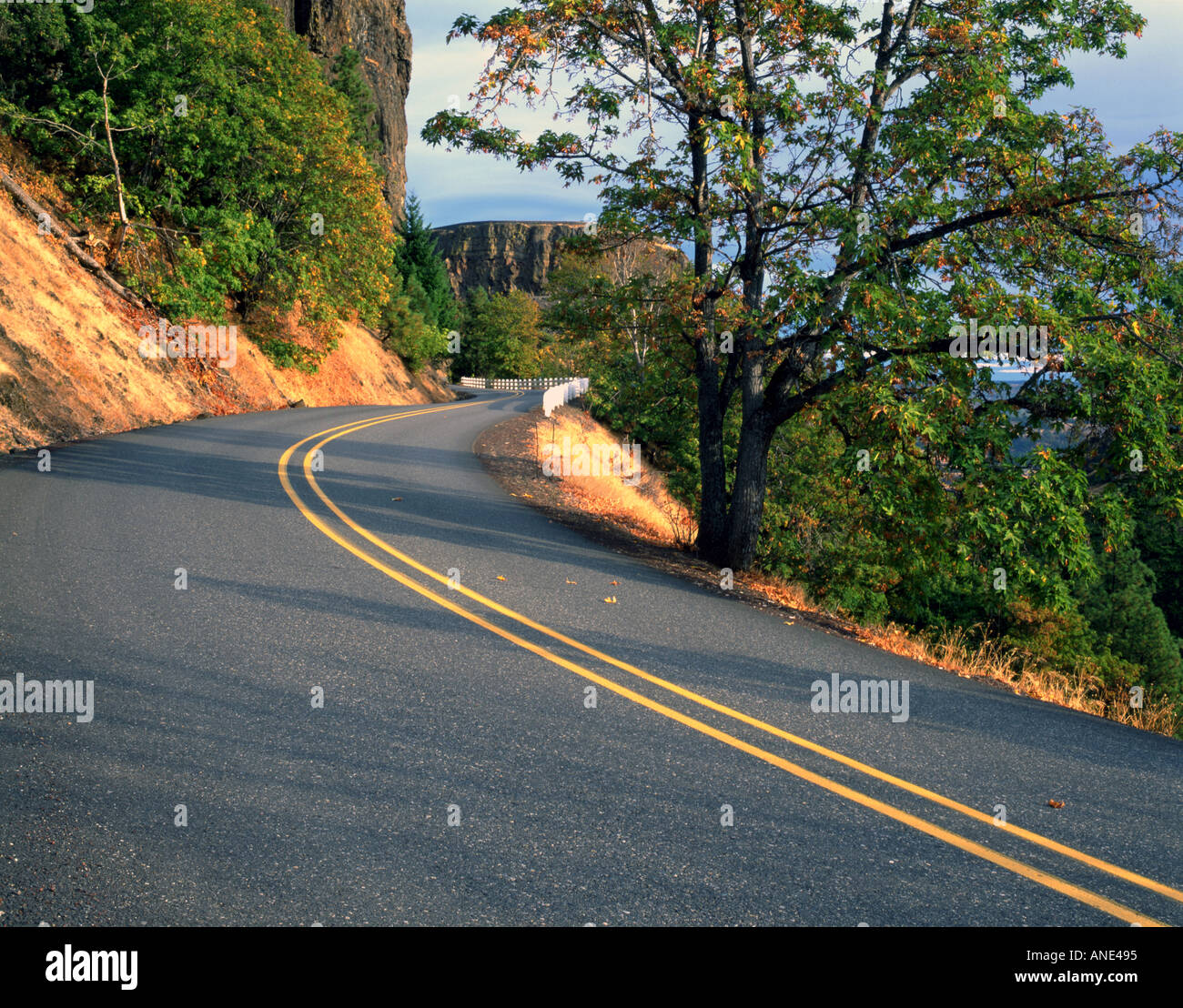 Rowena loops hi-res stock photography and images - Alamy