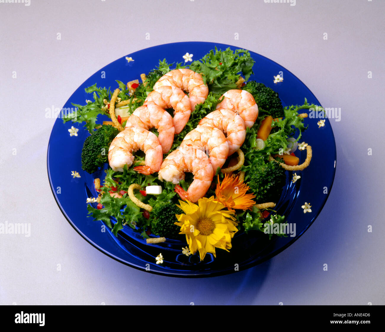 Shrimp farm ecuador hi-res stock photography and images - Alamy