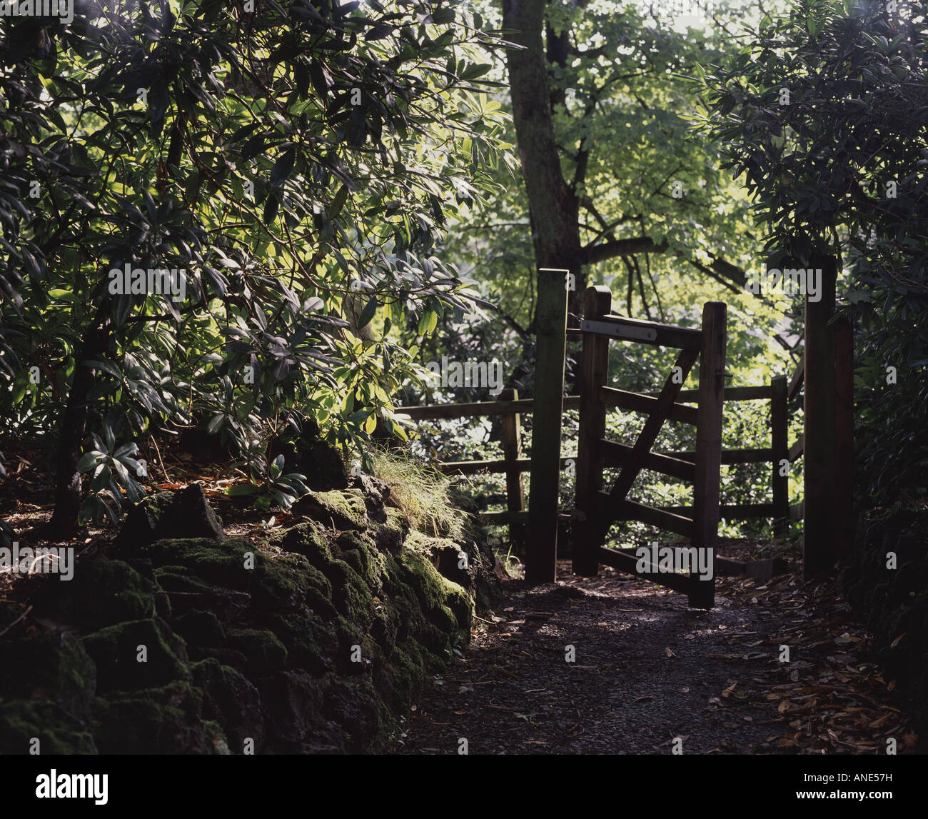 Single wooden gate Stock Photo - Alamy