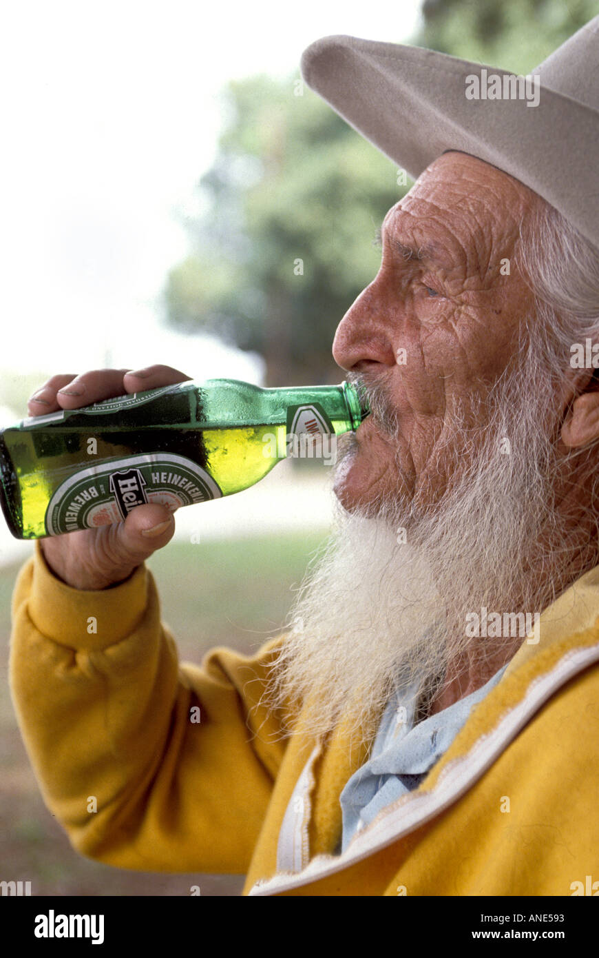 Senior Adult Male Drinks Beer Stock Photo - Alamy