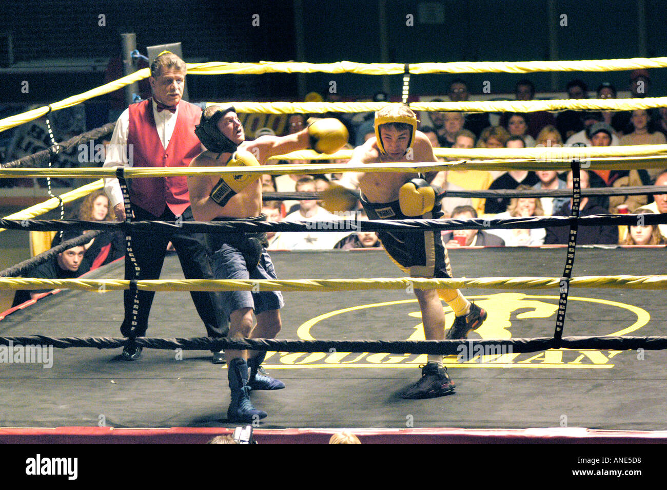 Tough man boxing hi-res stock photography and images - Alamy