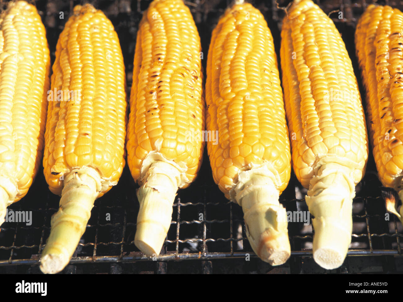 Lively roast hi-res stock photography and images - Alamy