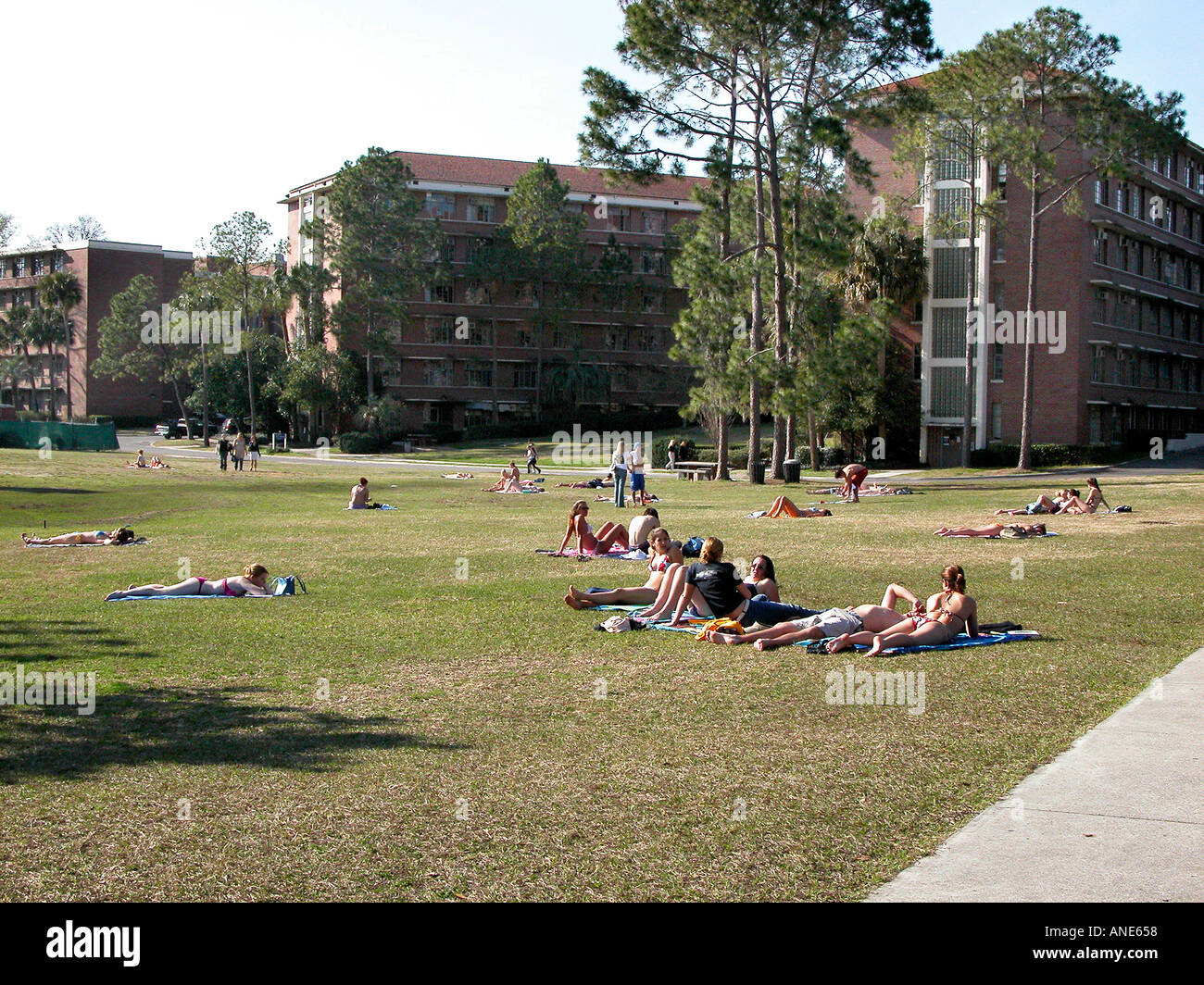 Gainesville university of florida hi-res stock photography and images ...