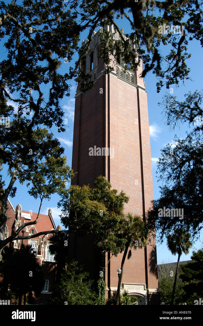University of florida gainesville tower hi-res stock photography and ...