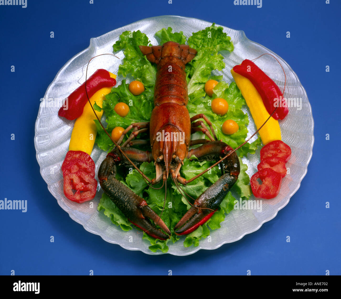 Crayfish bogavante fresh water lobster whole farm raised cooked on ...