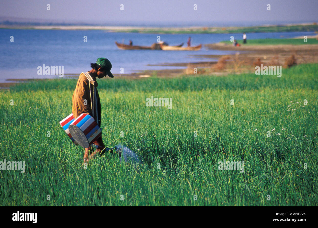 Local man rice farmer hi-res stock photography and images - Alamy