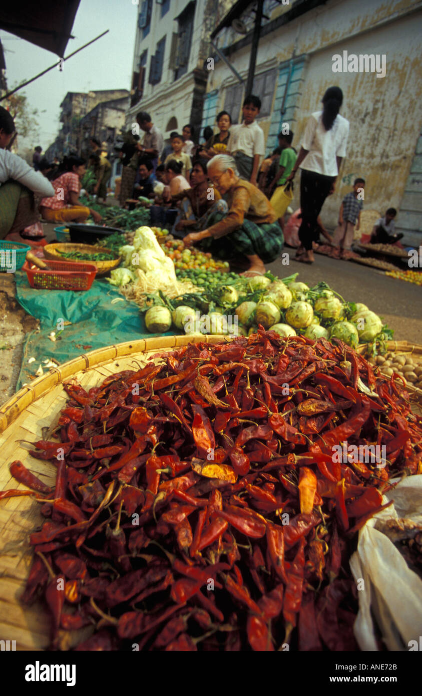 Burmese red pepper hi-res stock photography and images - Alamy