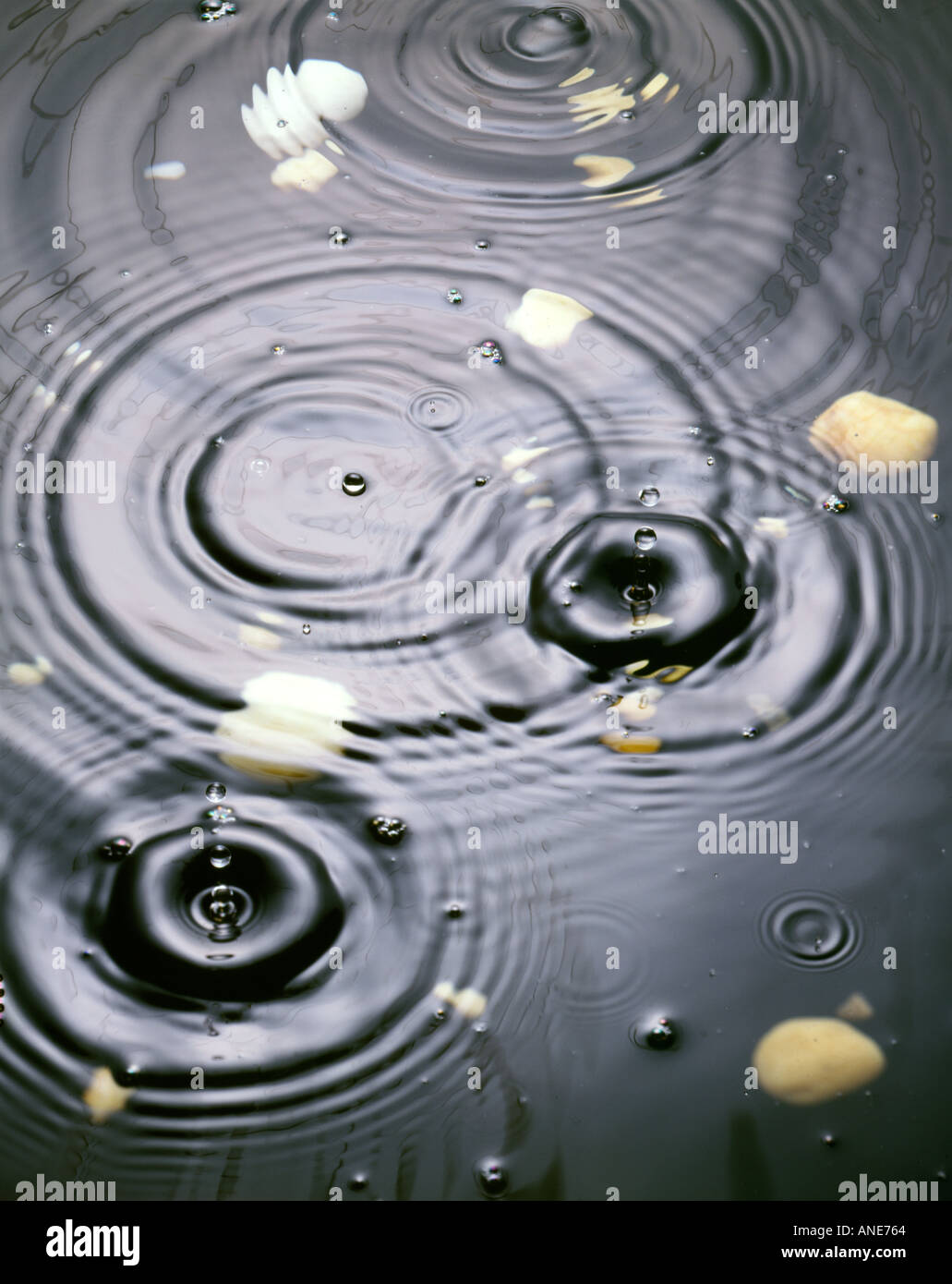 Moisture rings hi-res stock photography and images - Alamy