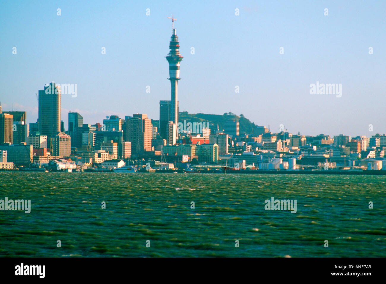 Sky tower blue auckland hi-res stock photography and images - Alamy