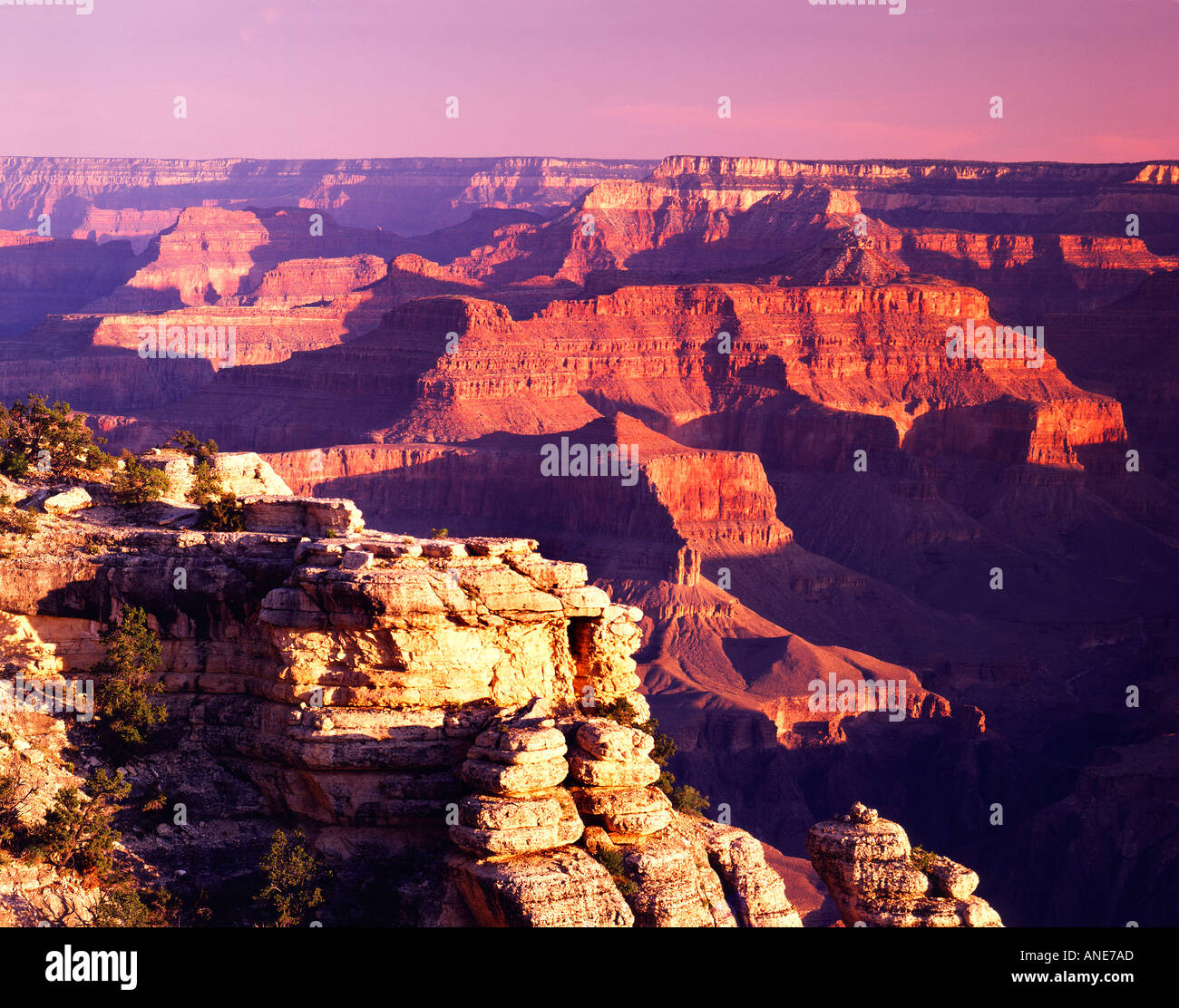 USA AZ Grand Canyon Red sunrise Stock Photo - Alamy