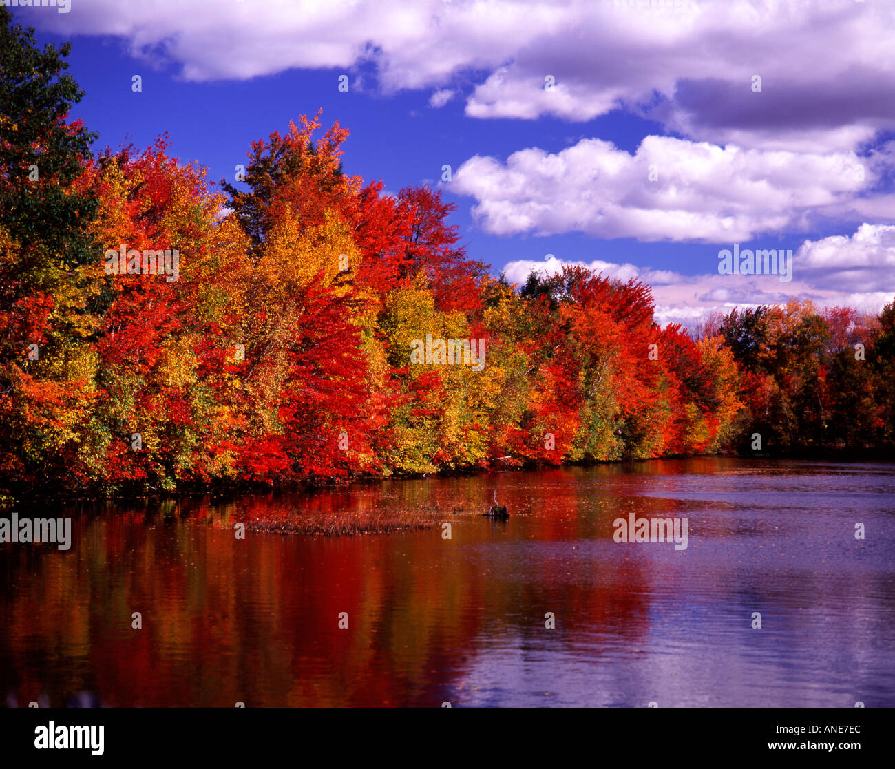 Heart lake adirondack new york hi-res stock photography and images - Alamy