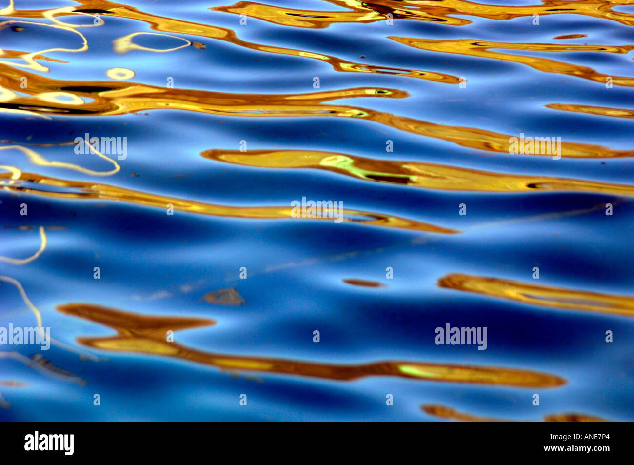 Distinctive eye patterns hi-res stock photography and images - Alamy