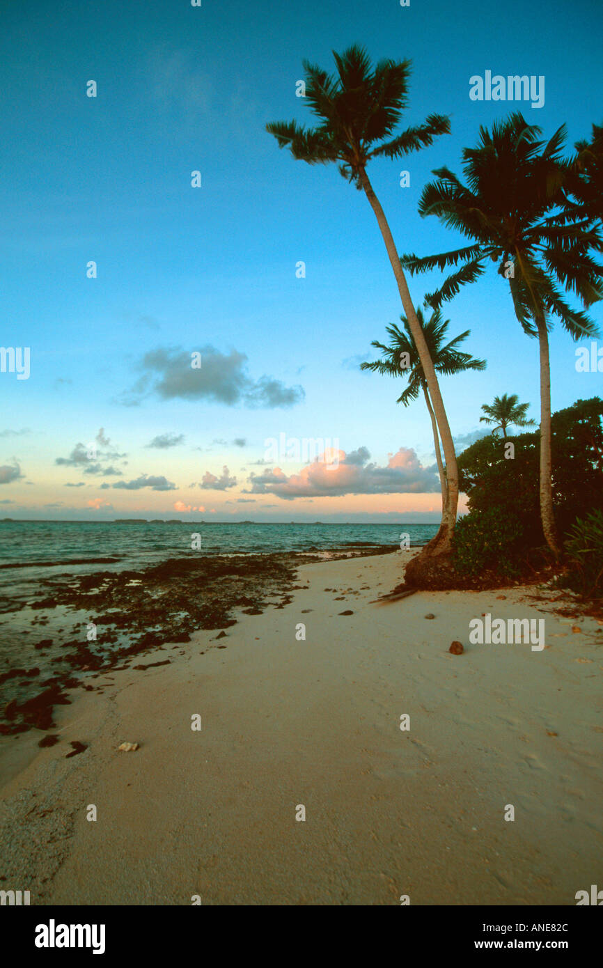 Beach and palm trees sunset Lukanor I Mili Marshall Islands N Pacific ...