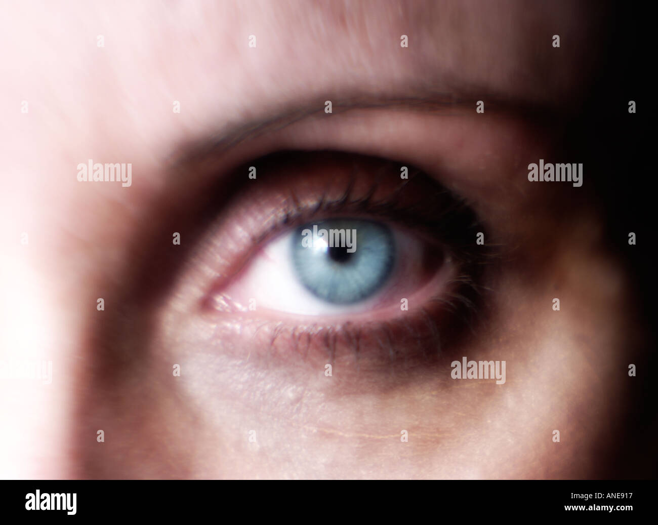Womans eye the eye of a woman direct Stock Photo - Alamy