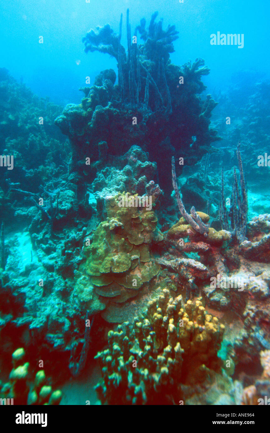 Mili atoll islands hi-res stock photography and images - Alamy