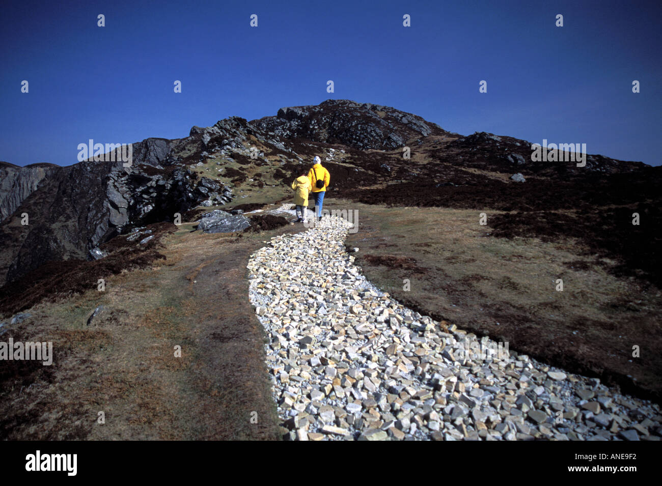 Winding path hi-res stock photography and images - Alamy