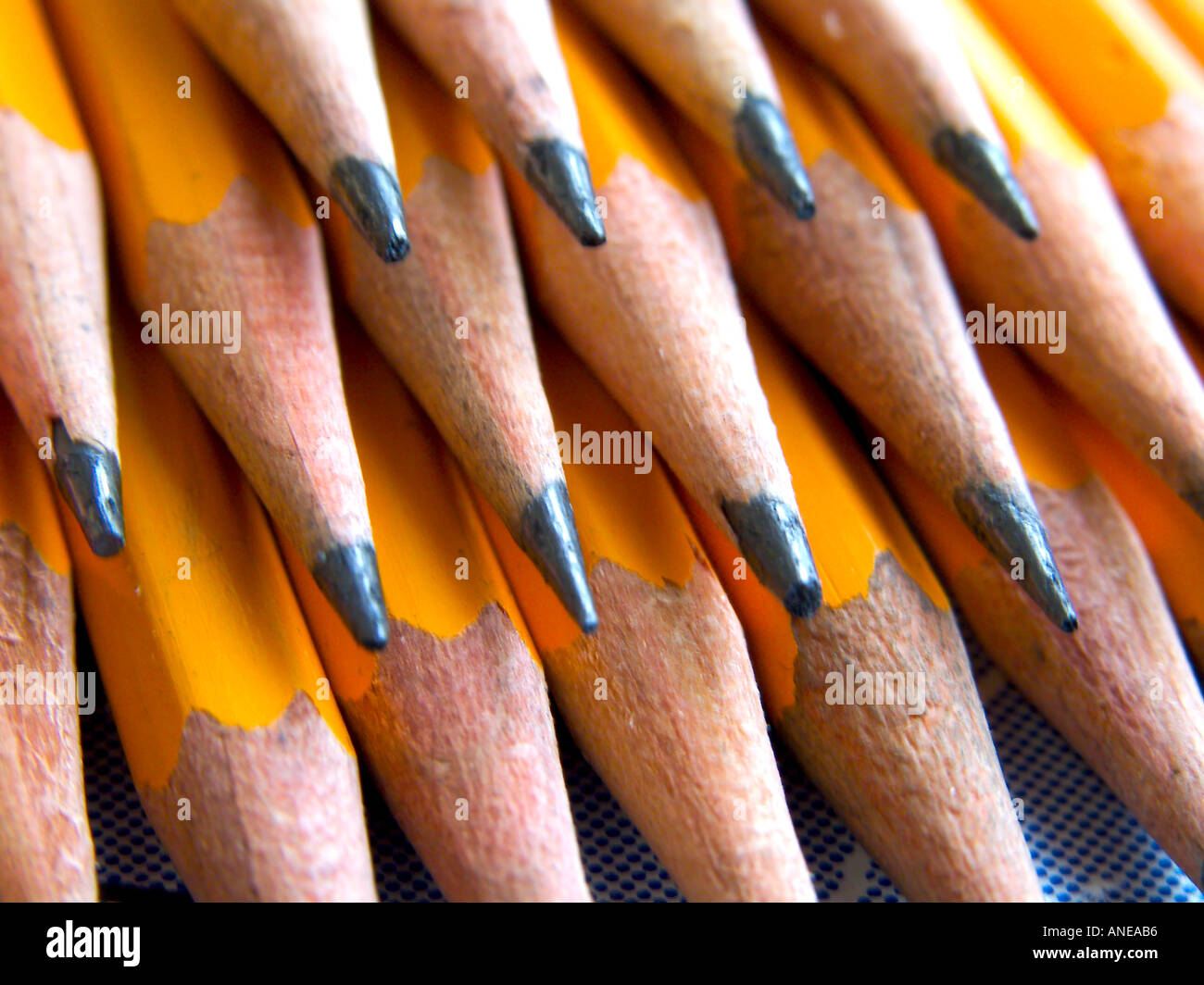 sharp yellow school pencils Stock Photo - Alamy