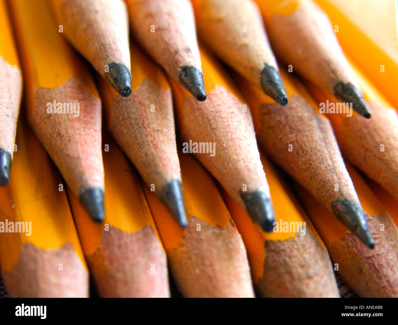 sharp yellow school pencils Stock Photo - Alamy