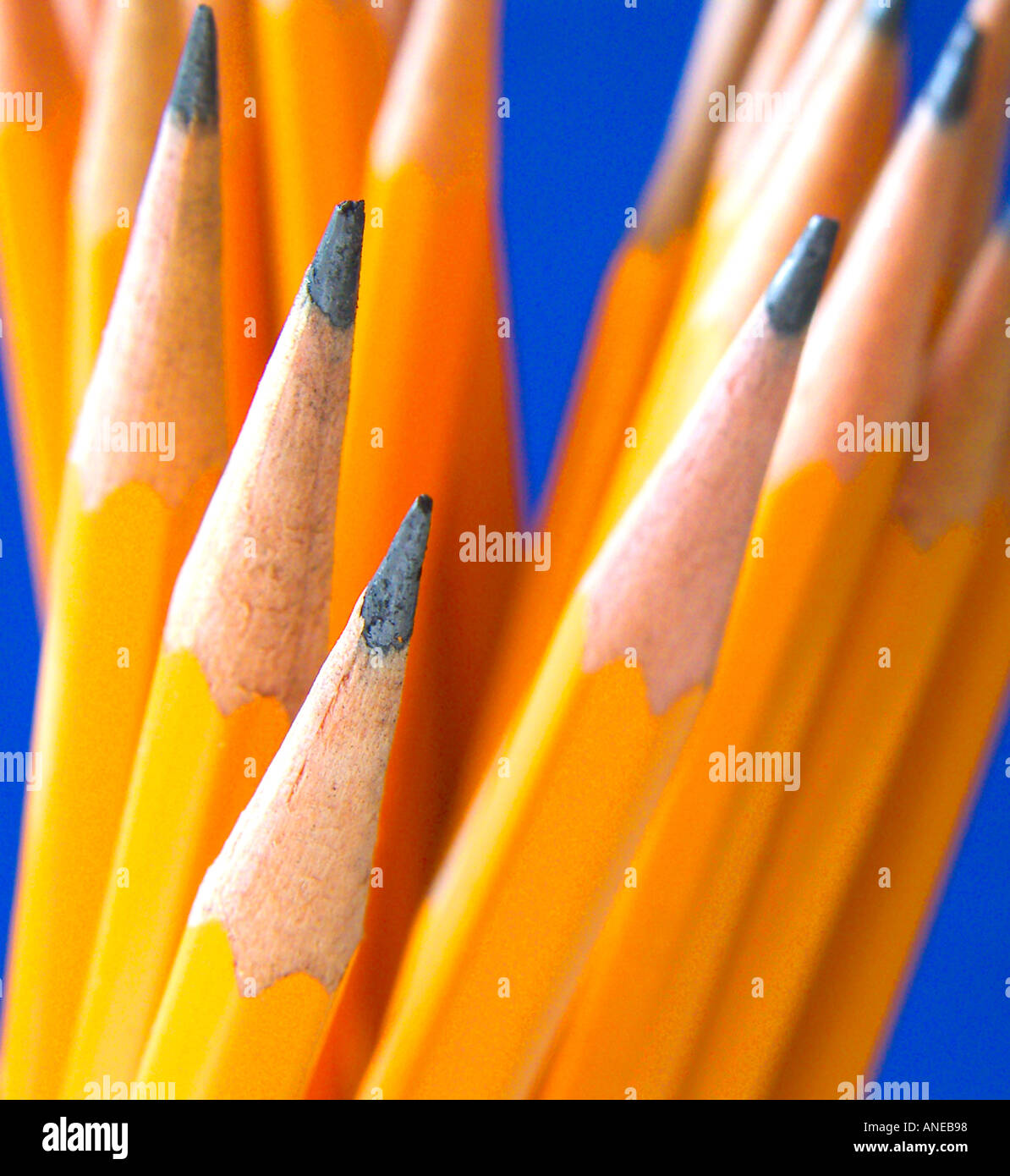 sharp yellow school pencils Stock Photo - Alamy