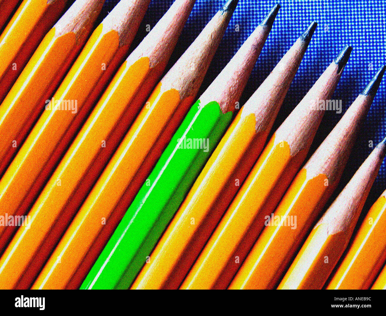 sharp yellow school pencils with one green Stock Photo - Alamy